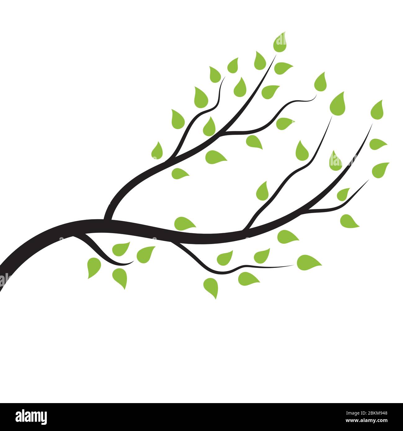 tree branch vector illustration design template Stock Vector Image ...
