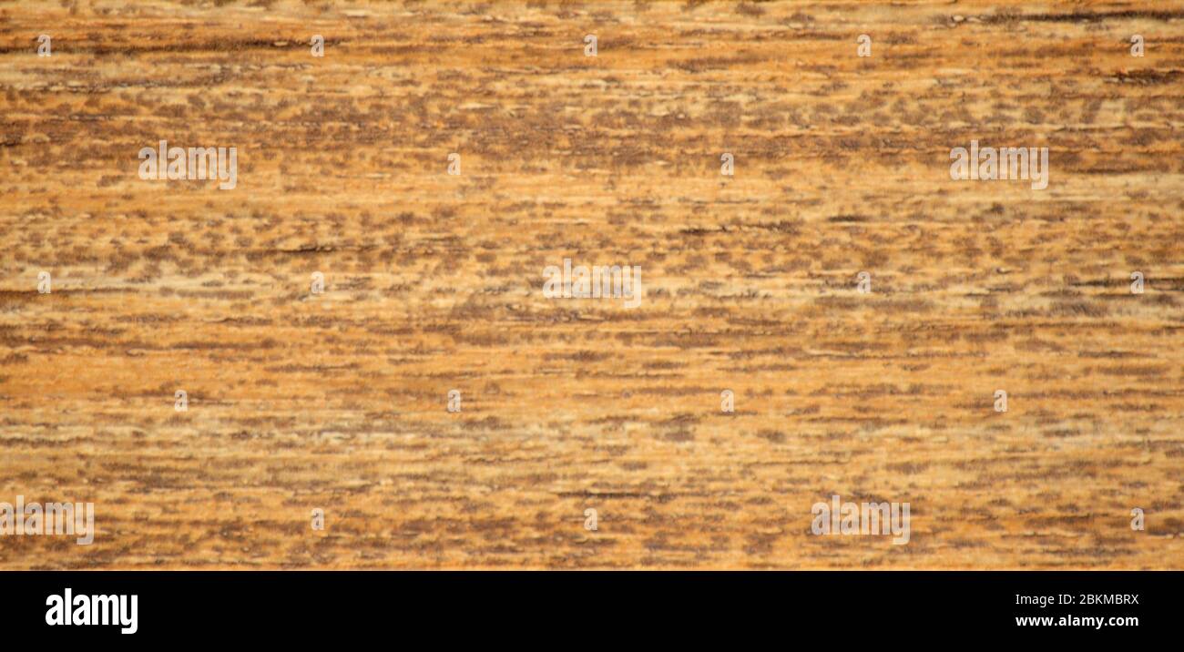 Beech wood texture detailed beech hi-res stock photography and images ...