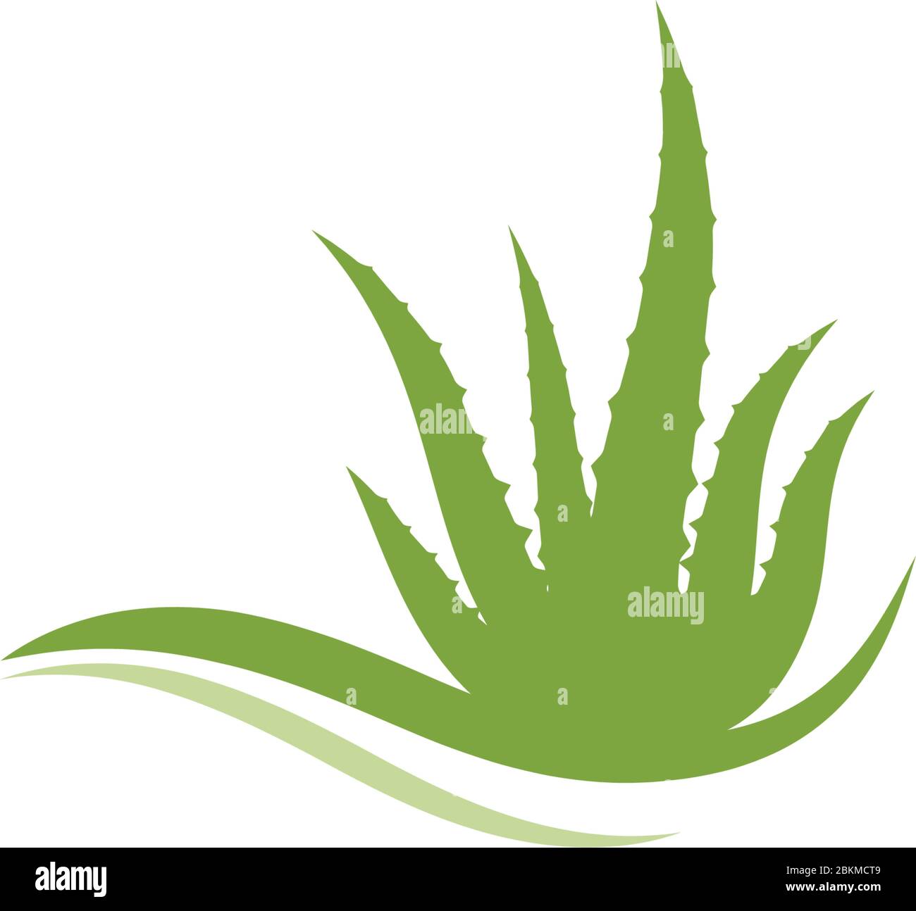 Aloe vera vector illustration design icon template Stock Vector Image ...
