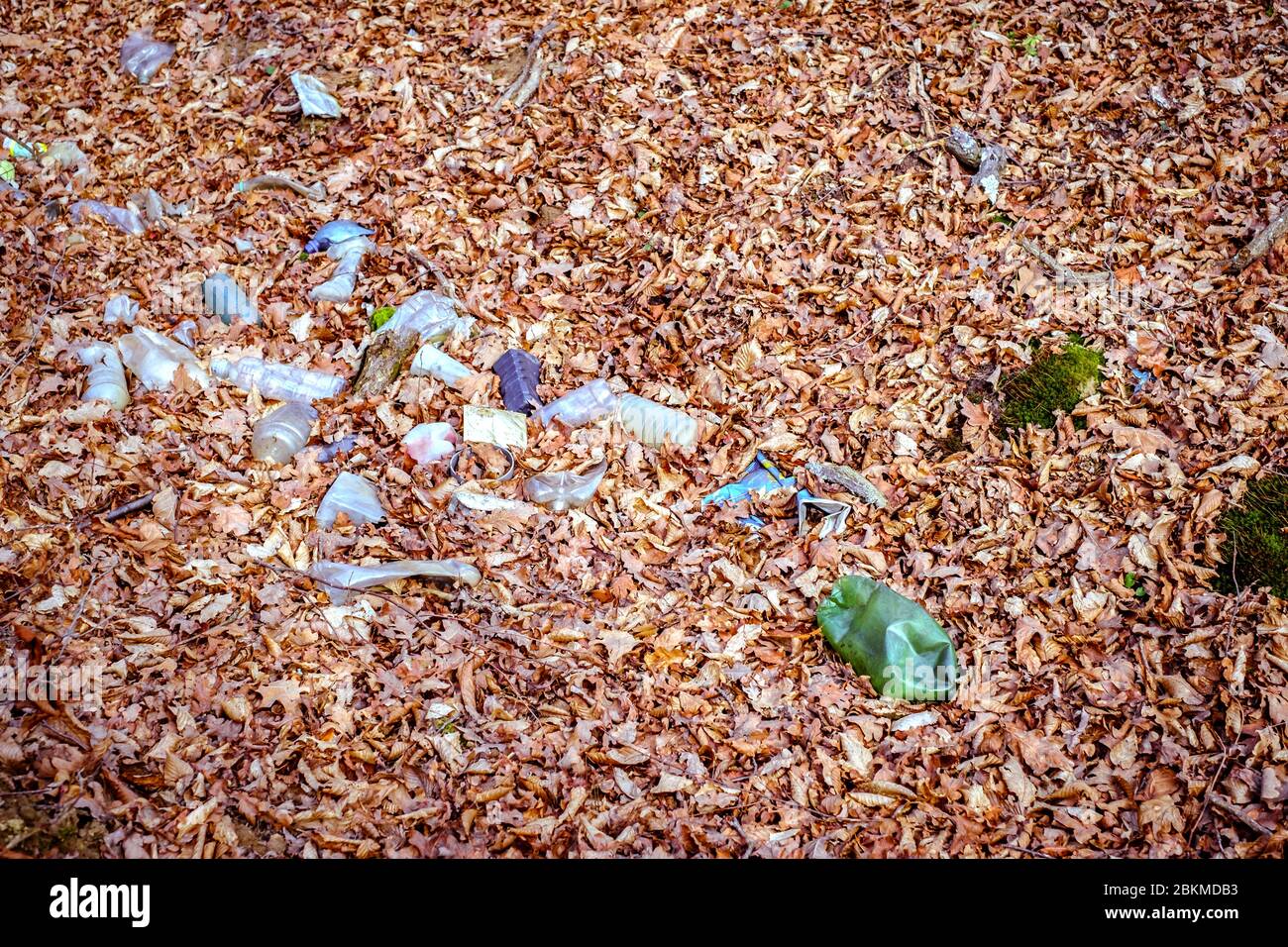 The concept of environmental pollution by human life products. Garbage ...