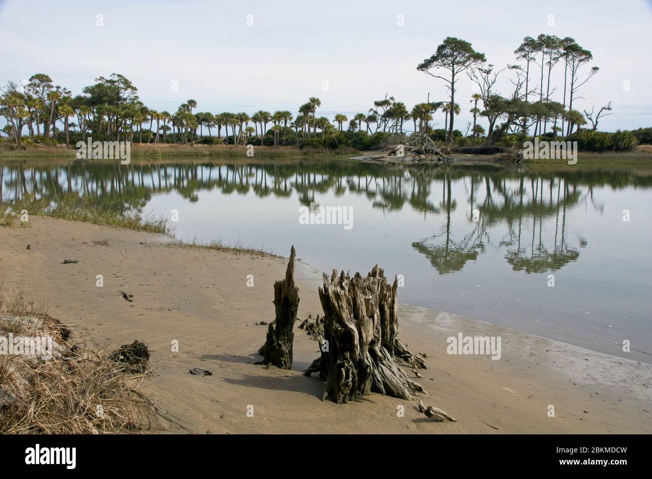 Hunting Island State Park in South Carolina USA Stock Photo - Alamy