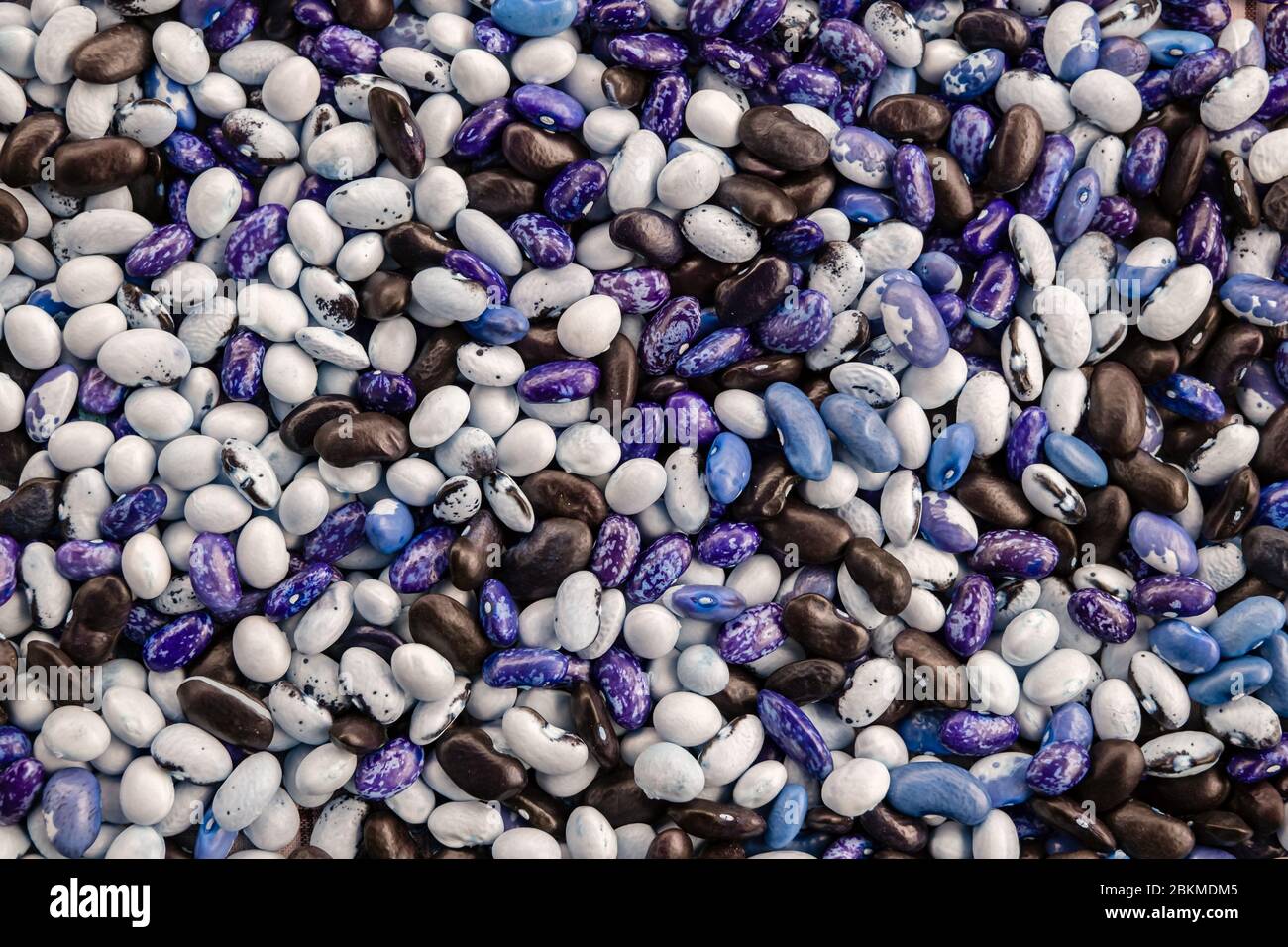 Multicolor haricot beans background, many colorful dry kidney beans ...
