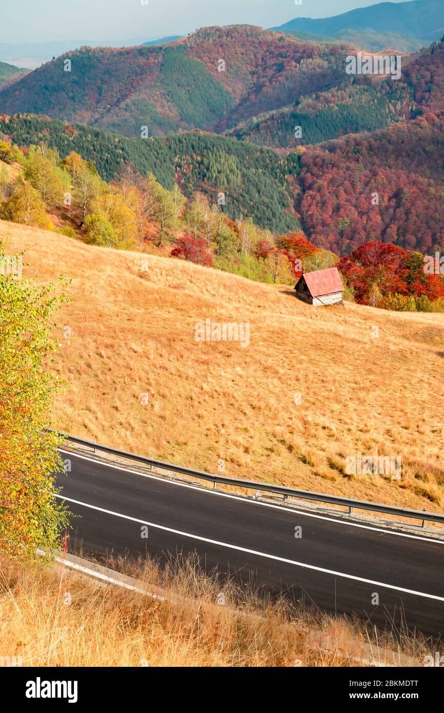 Romanian mountains in autumn season, Cindrel mountains, Paltinis area ...