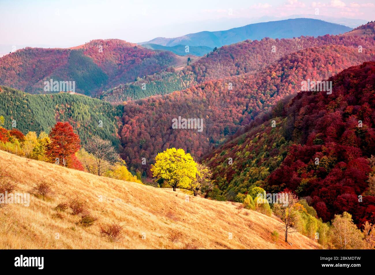 Romanian mountains in autumn season, Cindrel mountains, Paltinis area ...
