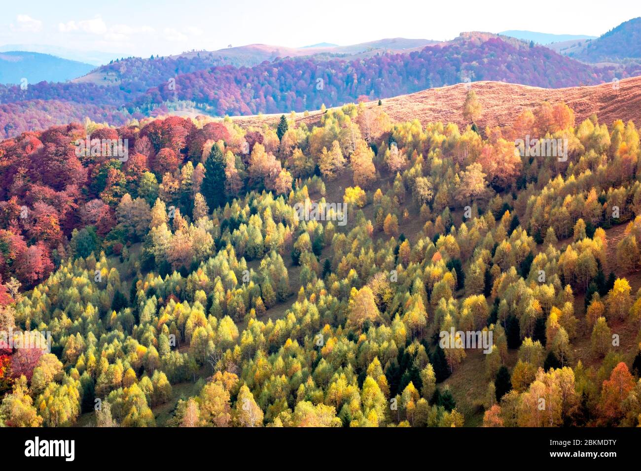 Romanian mountains in autumn season, Cindrel mountains, Paltinis area ...