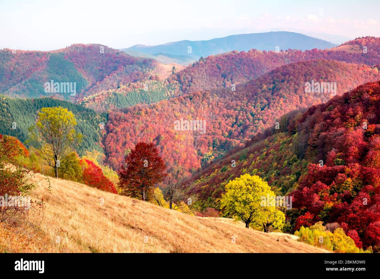 Romanian mountains in autumn season, Cindrel mountains, Paltinis area ...