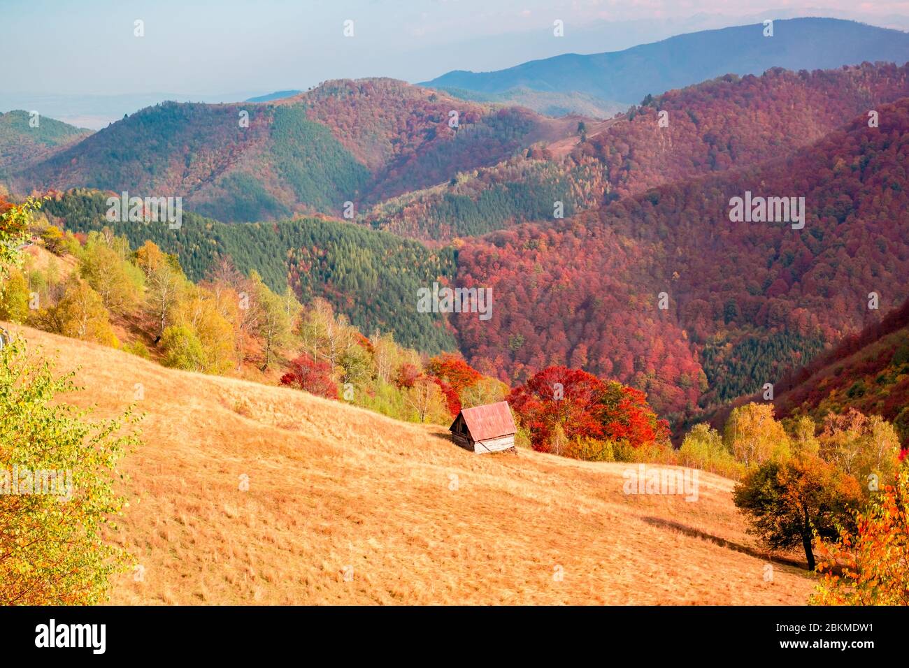 Romanian mountains in autumn season, Cindrel mountains, Paltinis area ...