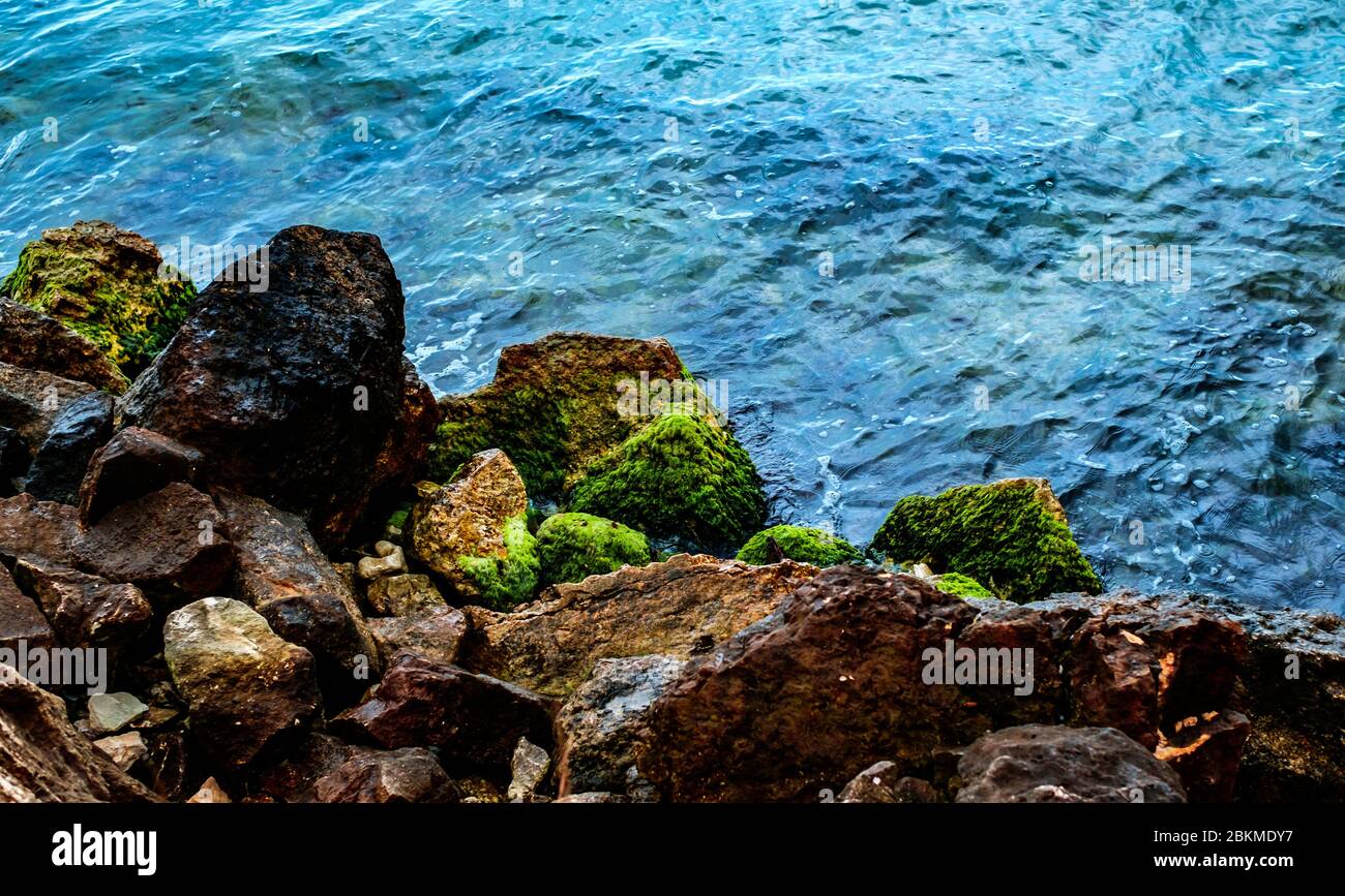 stones with moss at the seaside Stock Photo - Alamy