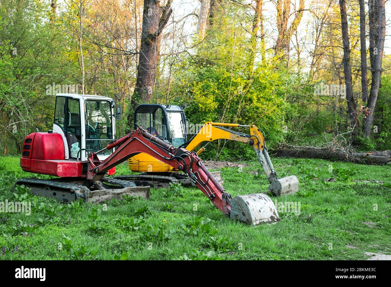 two excavators in the forest Stock Photo - Alamy