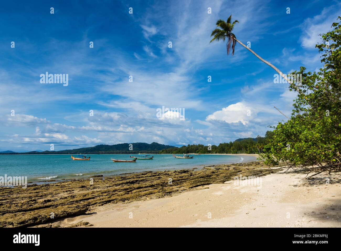 An empty, beautiful tropical beach lined with palm trees and lush green ...