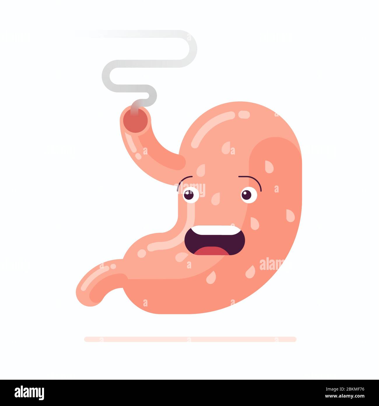 Cartoon Human Stomach