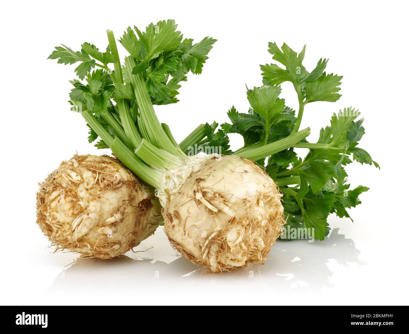 Fresh celeriac root with celery stalks isolated on white background ...