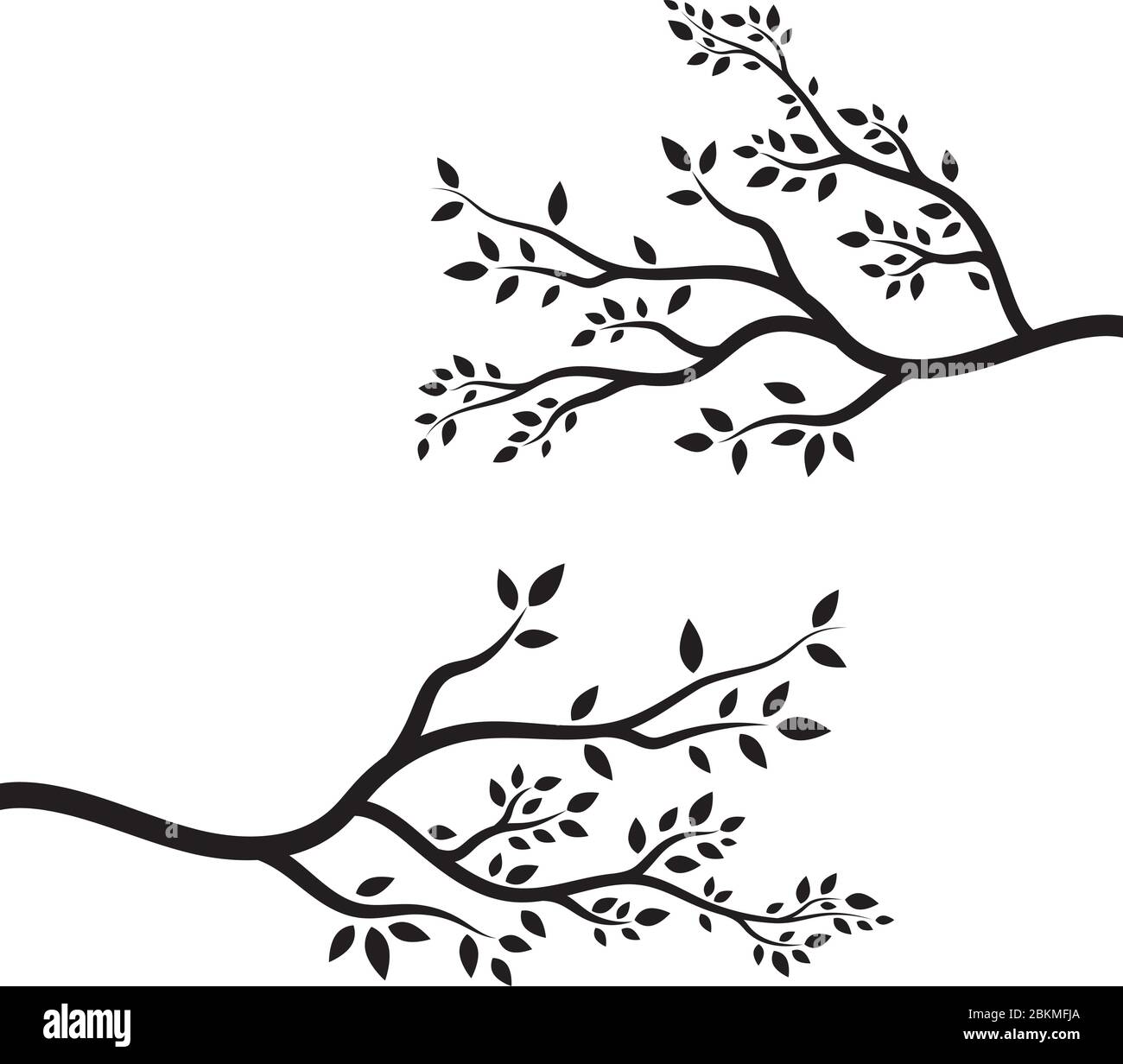 tree branch vector illustration design template Stock Vector Image ...