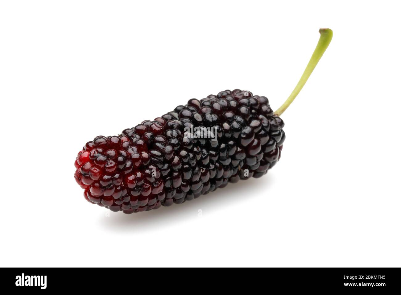 Black mulberry isolated on white background Stock Photo - Alamy