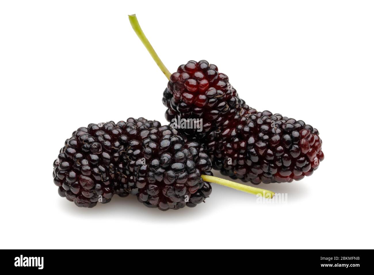 Black mulberry isolated on white background Stock Photo - Alamy