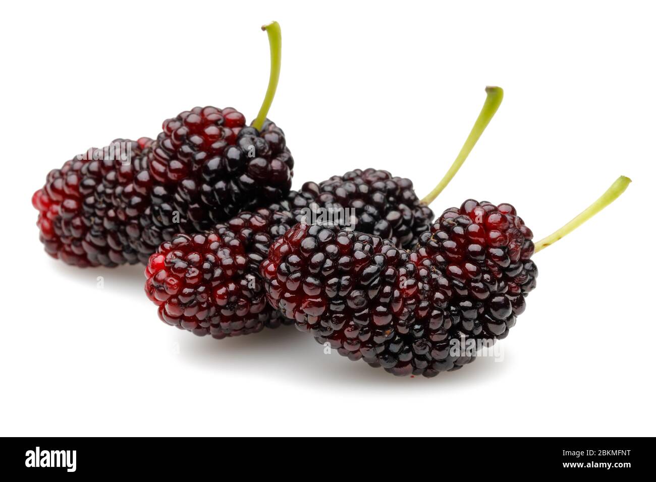 Black mulberry isolated on white background Stock Photo - Alamy