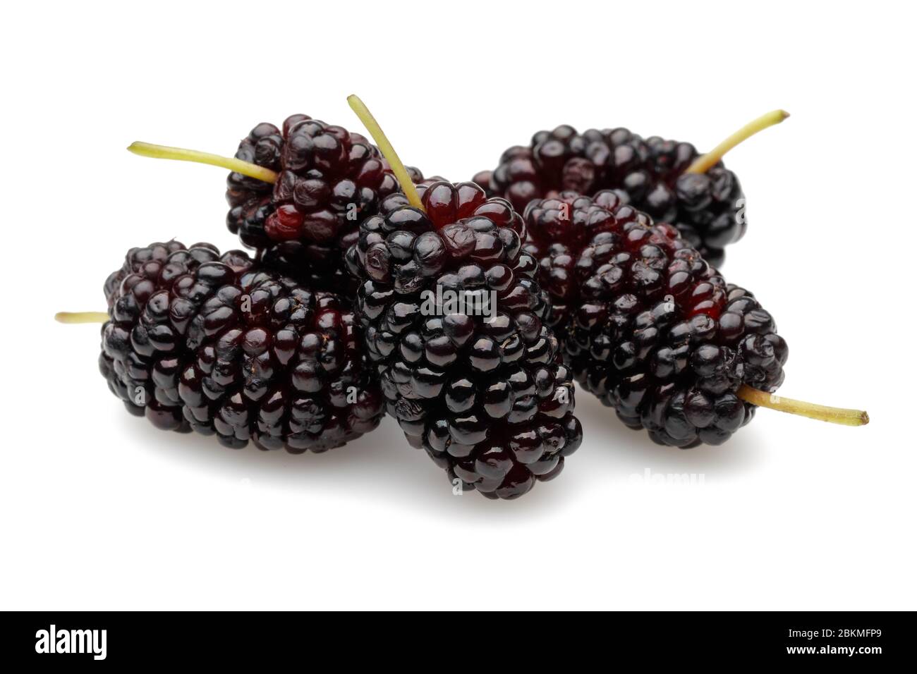 Black mulberry isolated on white background Stock Photo - Alamy