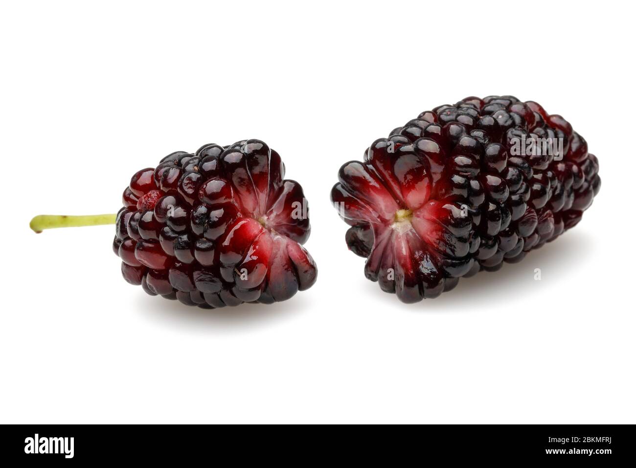 Black mulberry isolated on white background Stock Photo - Alamy