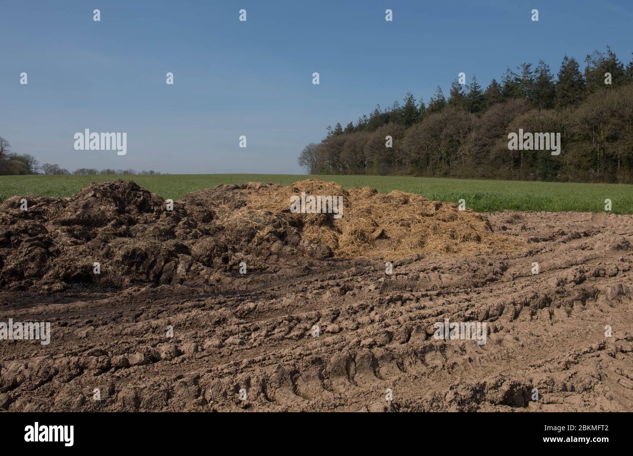 Pile of dung hi-res stock photography and images - Alamy