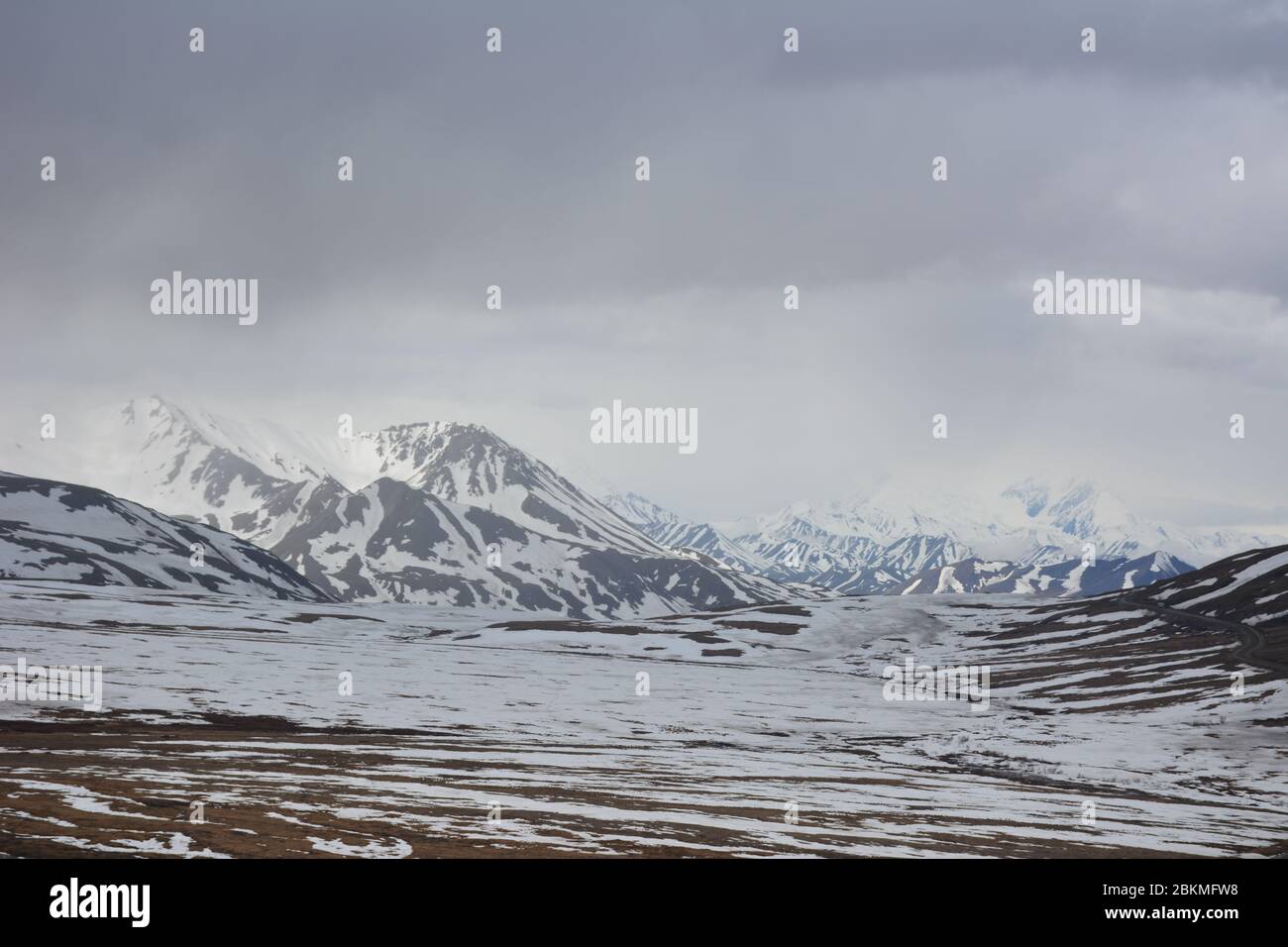Tundra Wilderness Tour Denali National Park High Resolution Stock ...