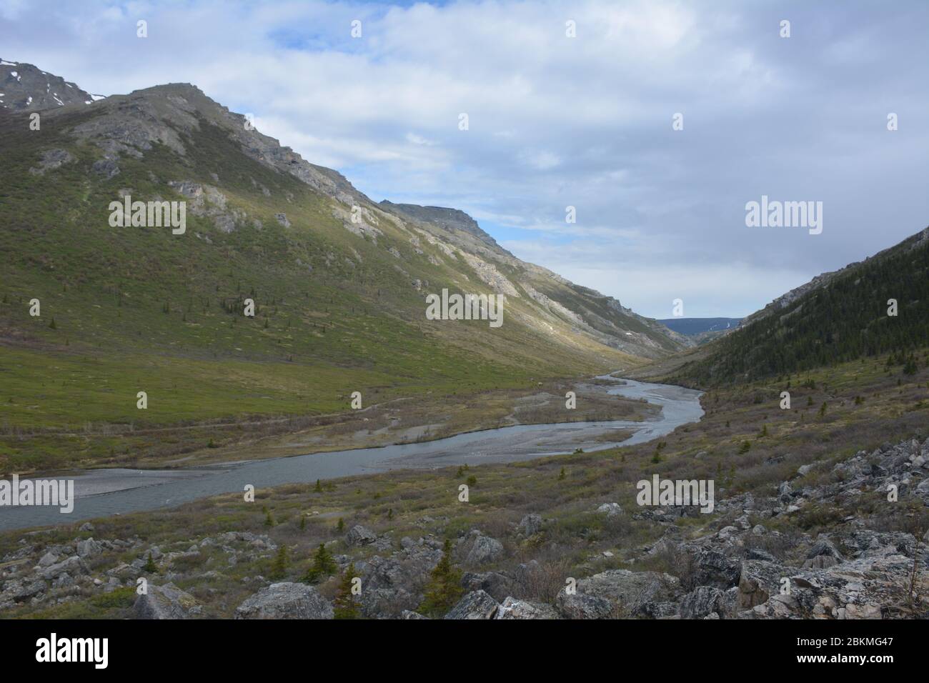 Alaska backcountry adventure tours hi-res stock photography and images ...