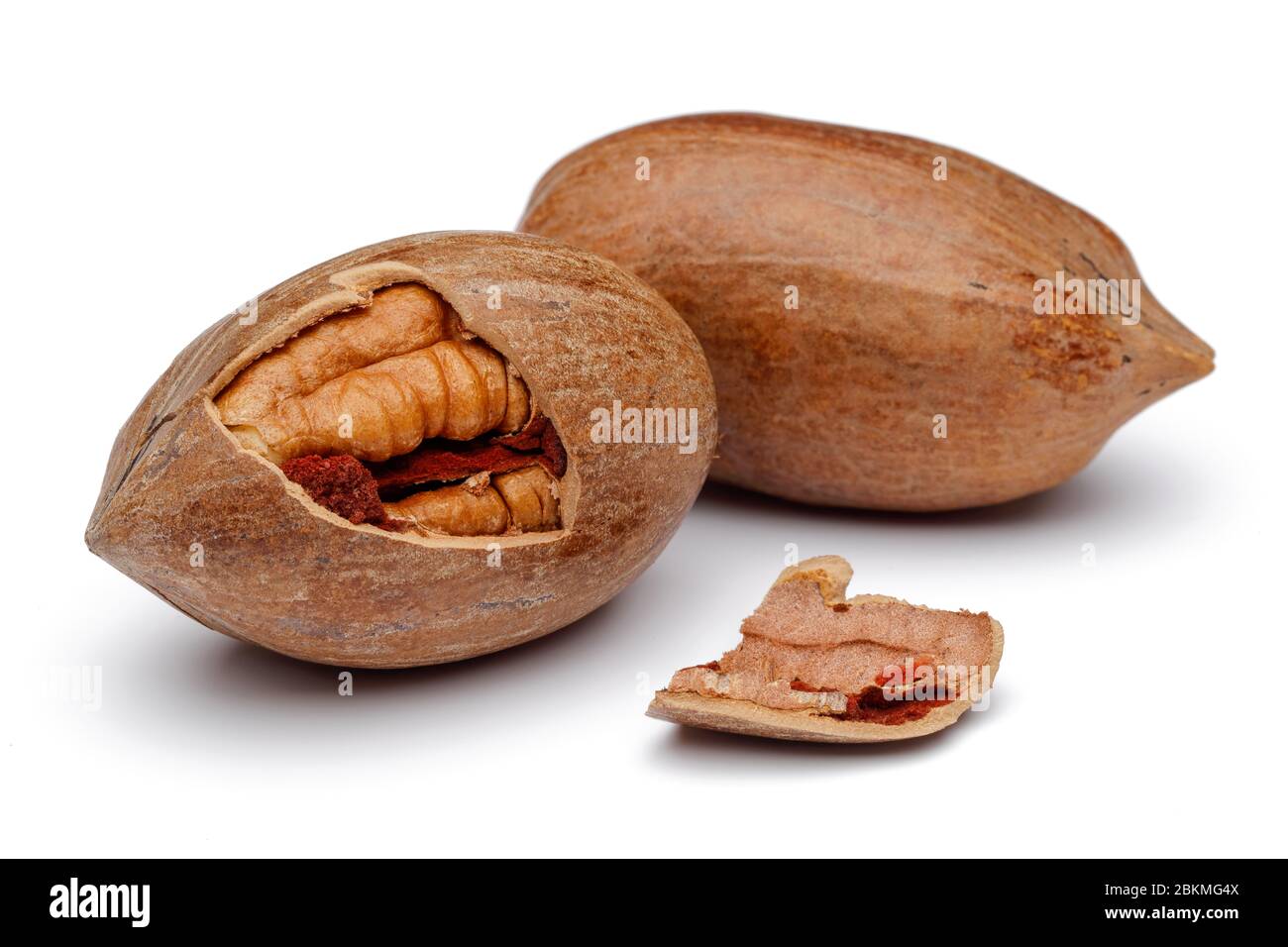 Pecan nut isolated on white background Stock Photo - Alamy