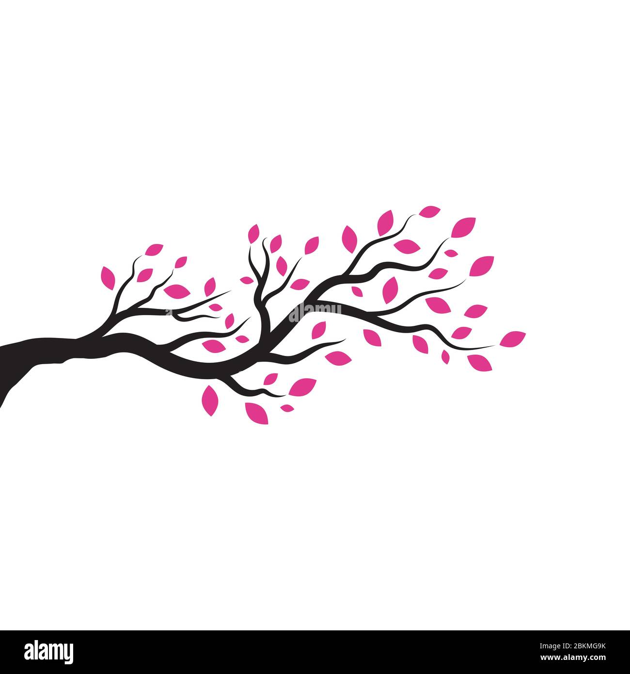 tree branch vector illustration design template Stock Vector Image ...