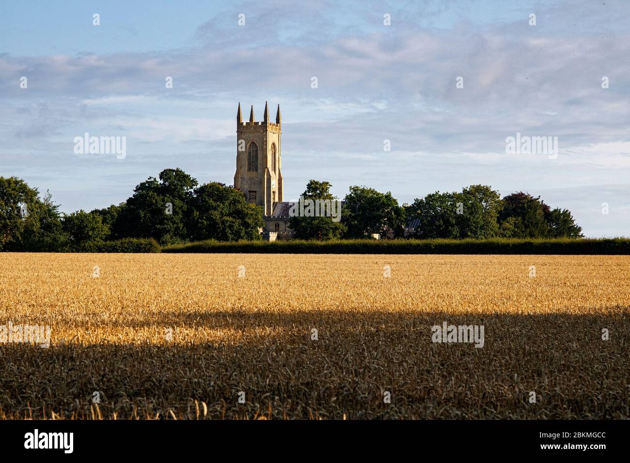 Salle church norfolk hi-res stock photography and images - Alamy
