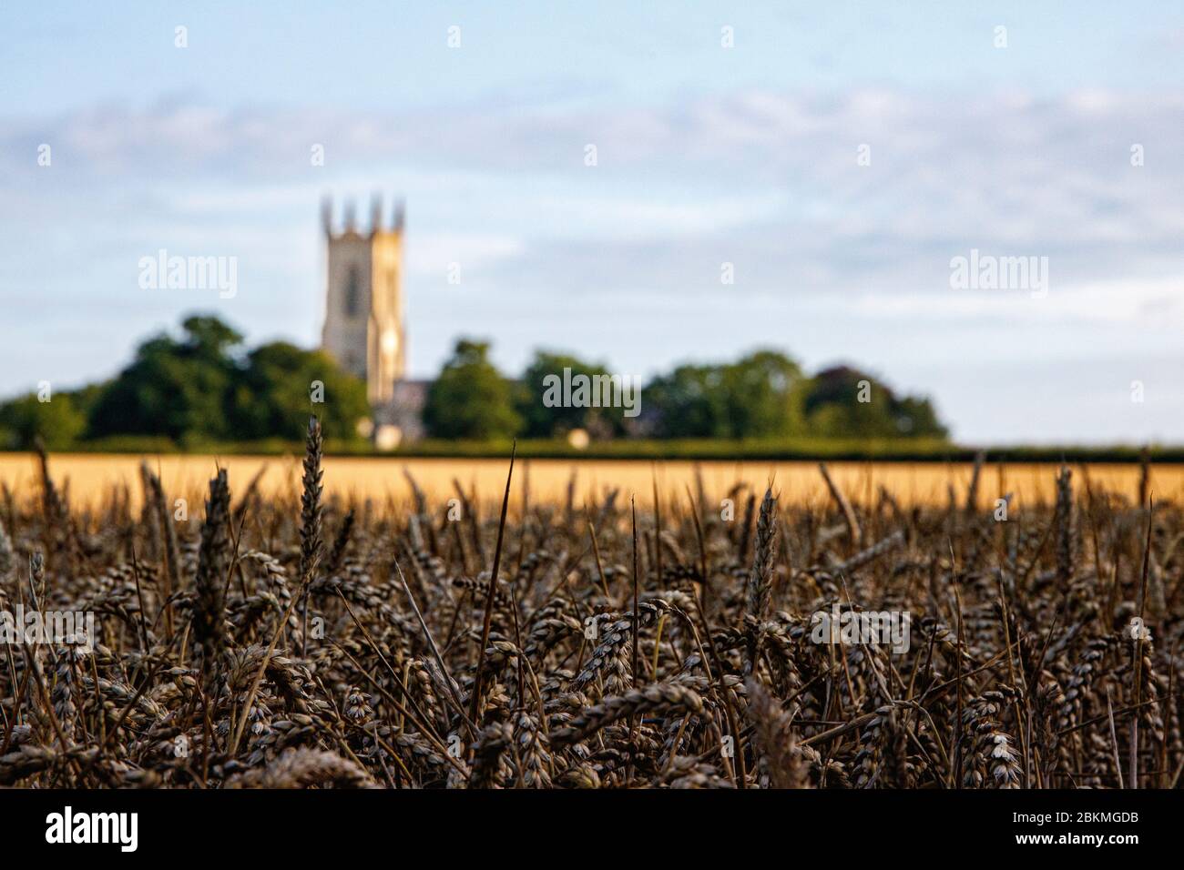 Salle church norfolk hi-res stock photography and images - Alamy