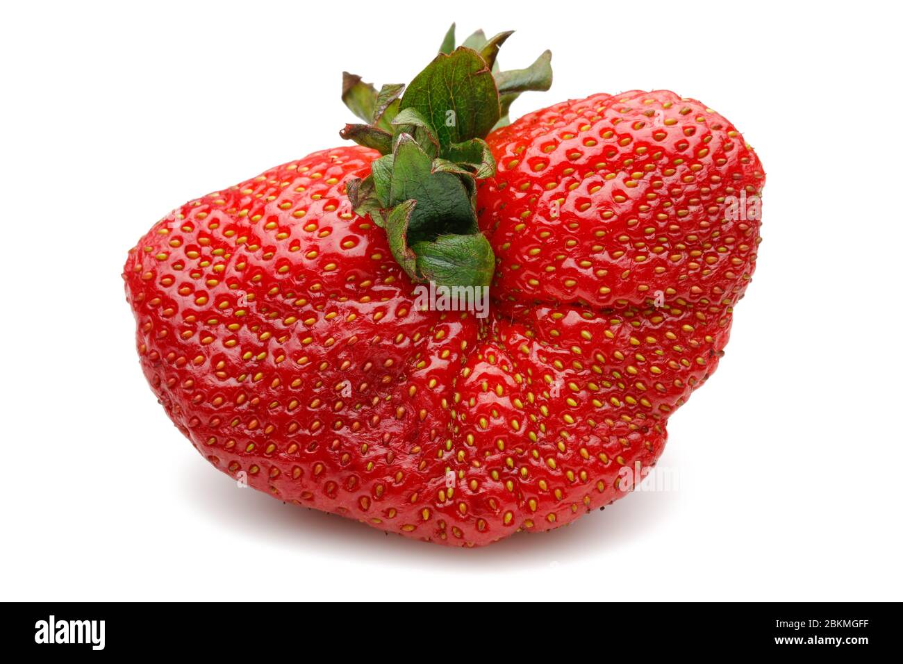 Mutant strawberry hi-res stock photography and images - Alamy