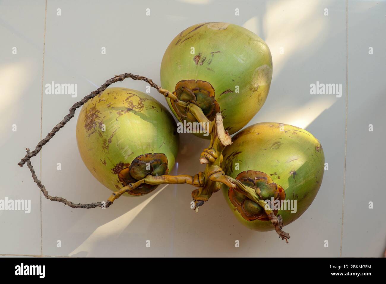 Side view three whole coconut. A few exotic tropical fruit. Fresh young ...
