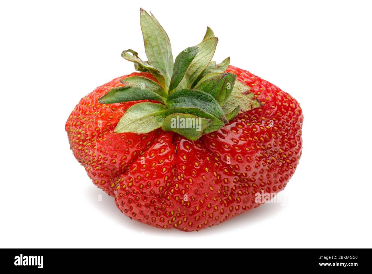 Mutated strawberry isolated on white background Stock Photo - Alamy