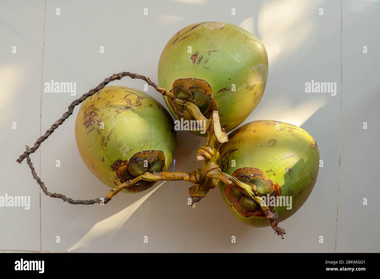 Side view three whole coconut. A few exotic tropical fruit. Fresh young ...