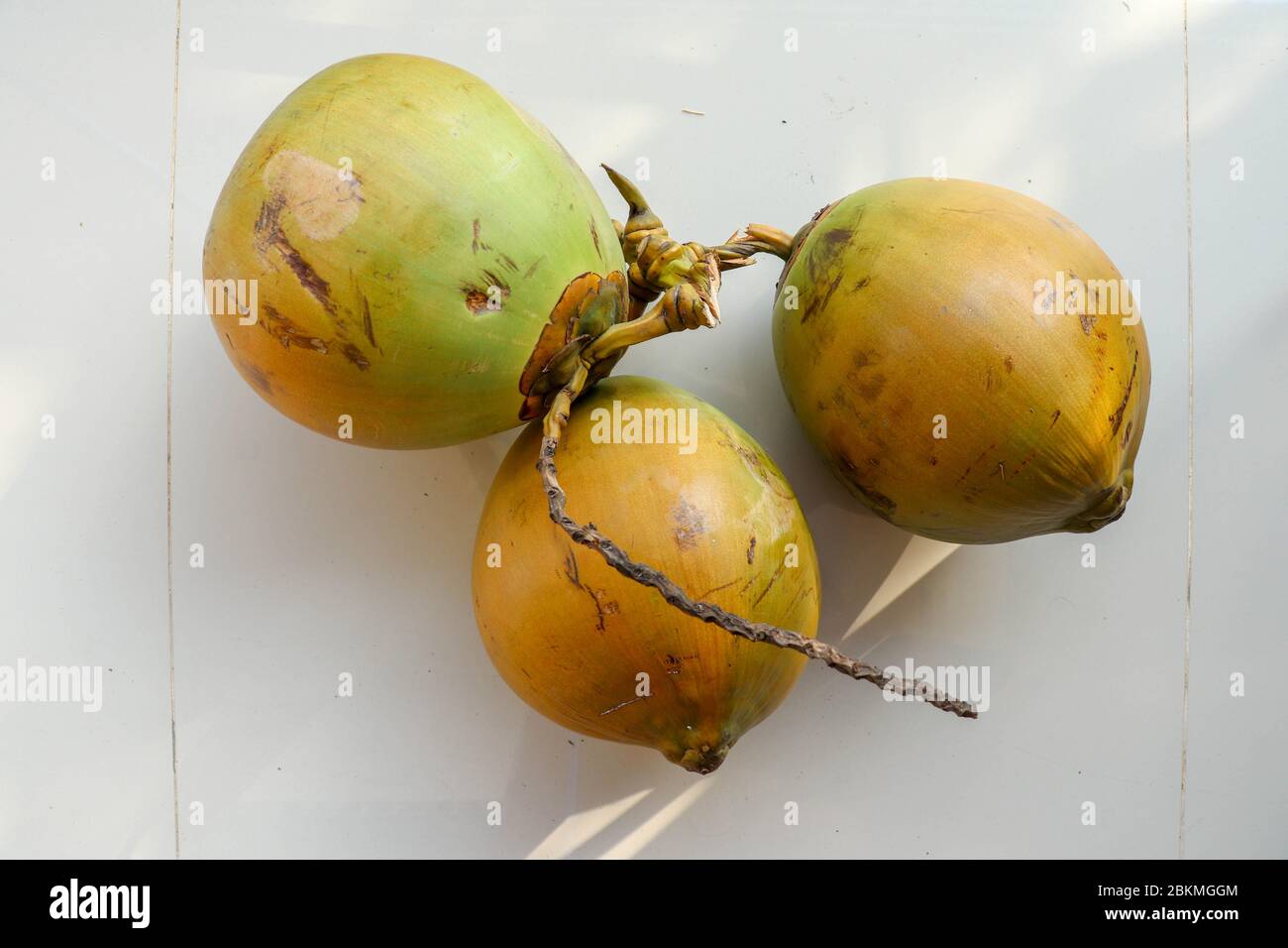 Side view three whole coconut. A few exotic tropical fruit. Fresh young ...