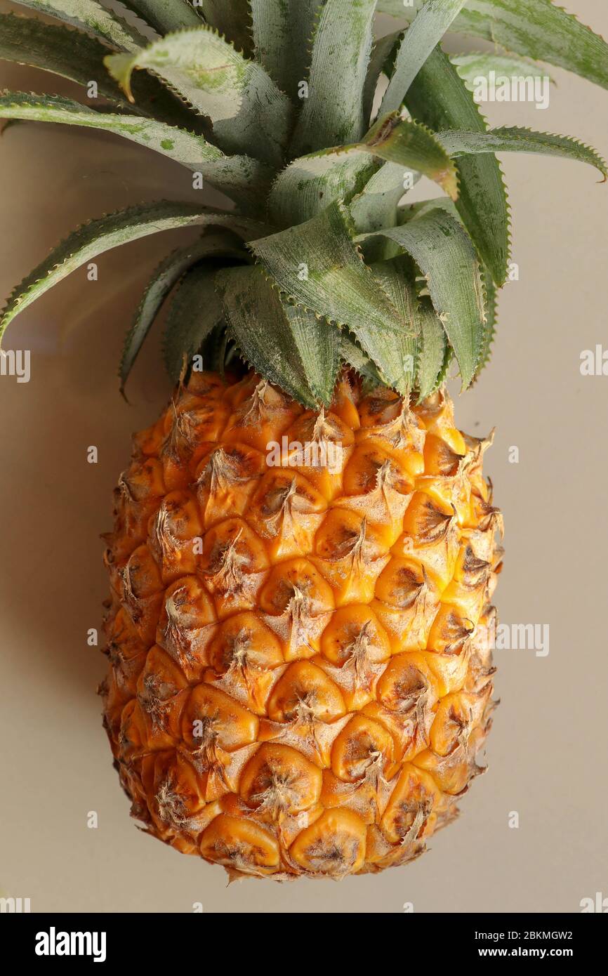 Single whole pineapple tropical fruit or ananas isolated on white ...