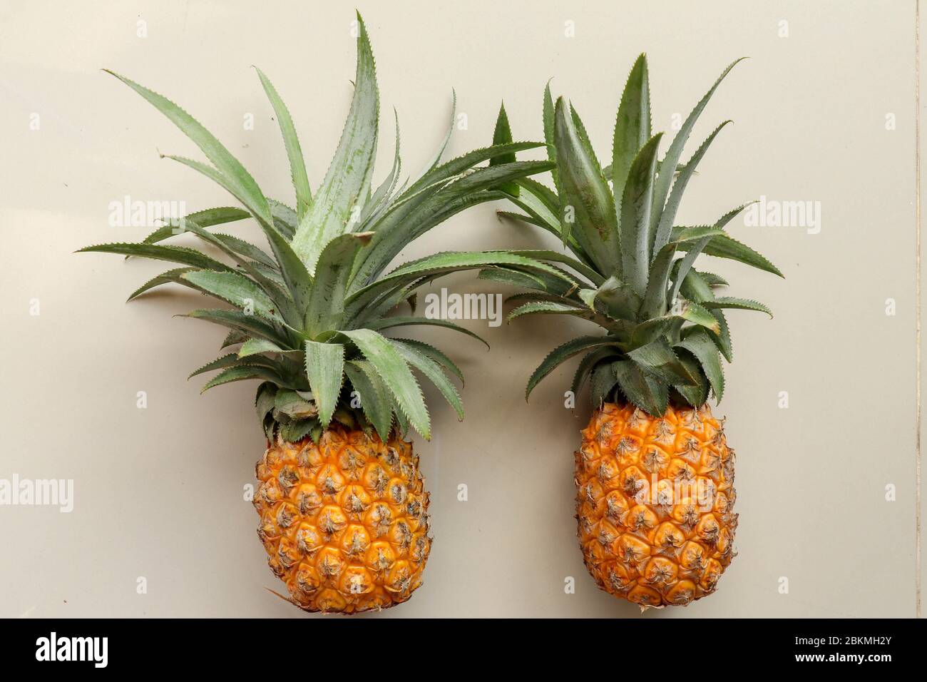 Couple whole pineapple tropical fruit or ananas isolated on white ...