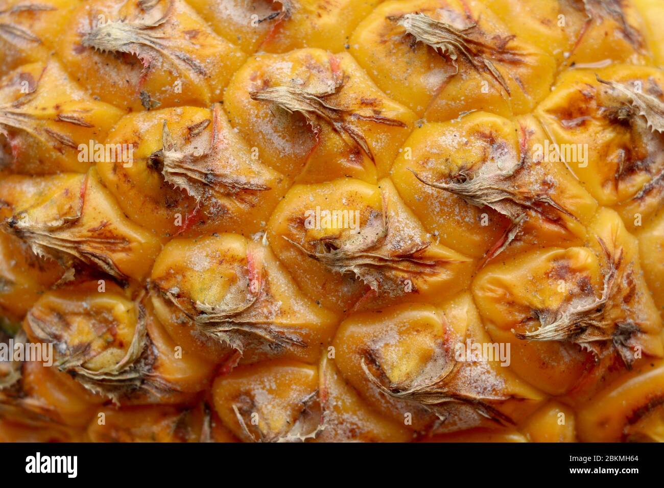 Close-up of skin of ripe pineapple. Fresh pineapple texture. Abstract ...