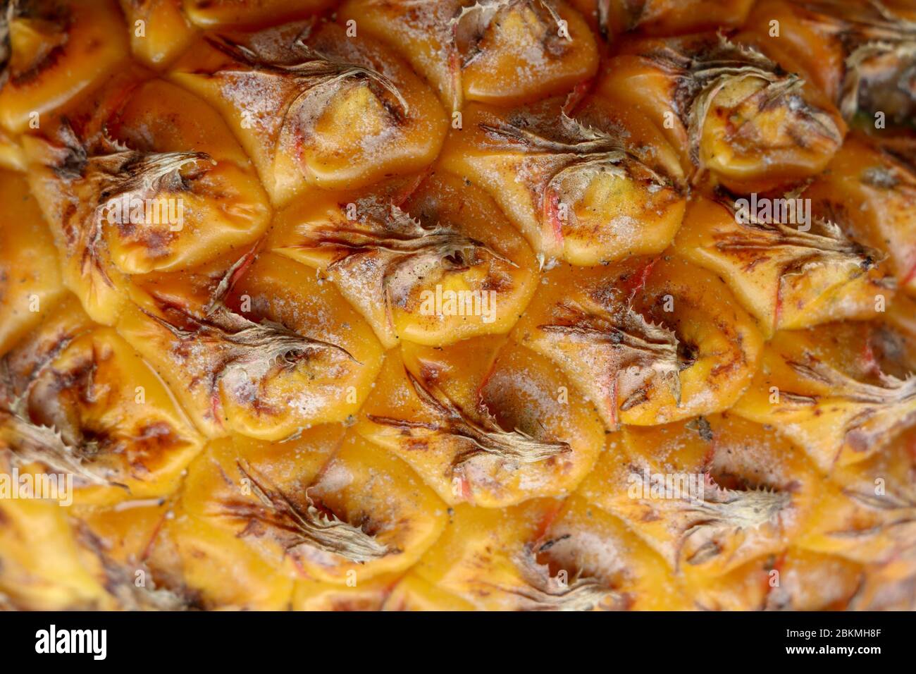 Close-up of skin of ripe pineapple. Fresh pineapple texture. Abstract ...