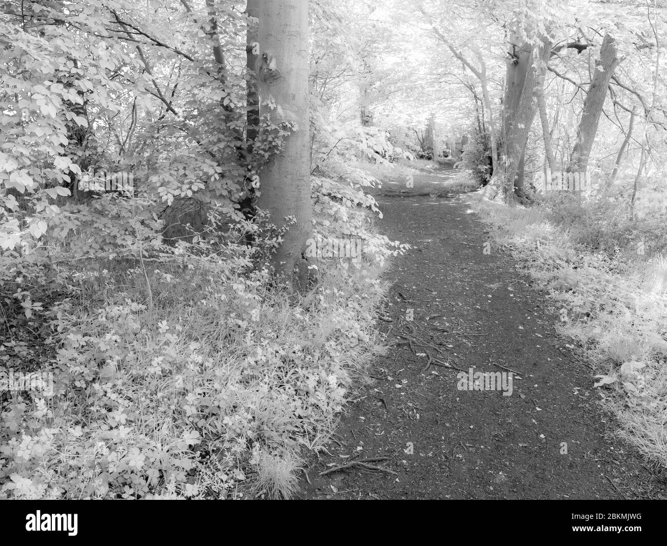 Ditch Black and White Stock Photos & Images - Alamy
