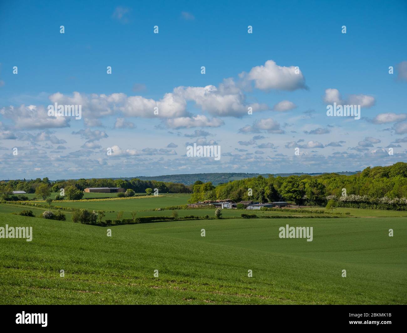 Farmland with Farm, The Chilterns, Ipsden, Oxfordshire, England, UK, GB ...