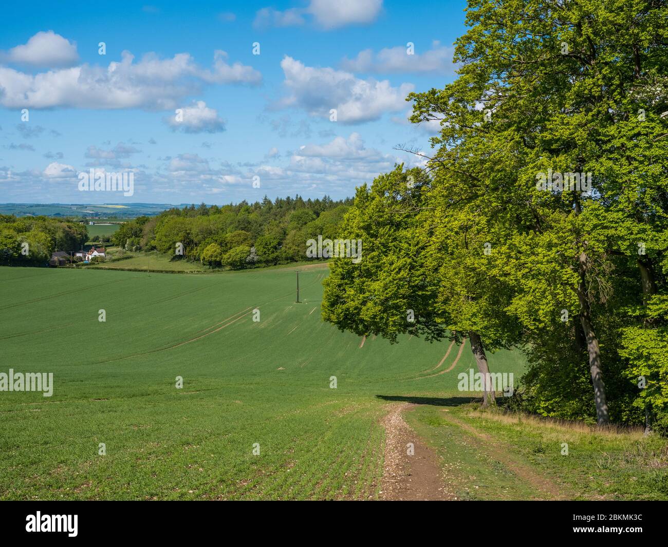Farmland with Farm, The Chilterns, Ipsden, Oxfordshire, England, UK, GB ...