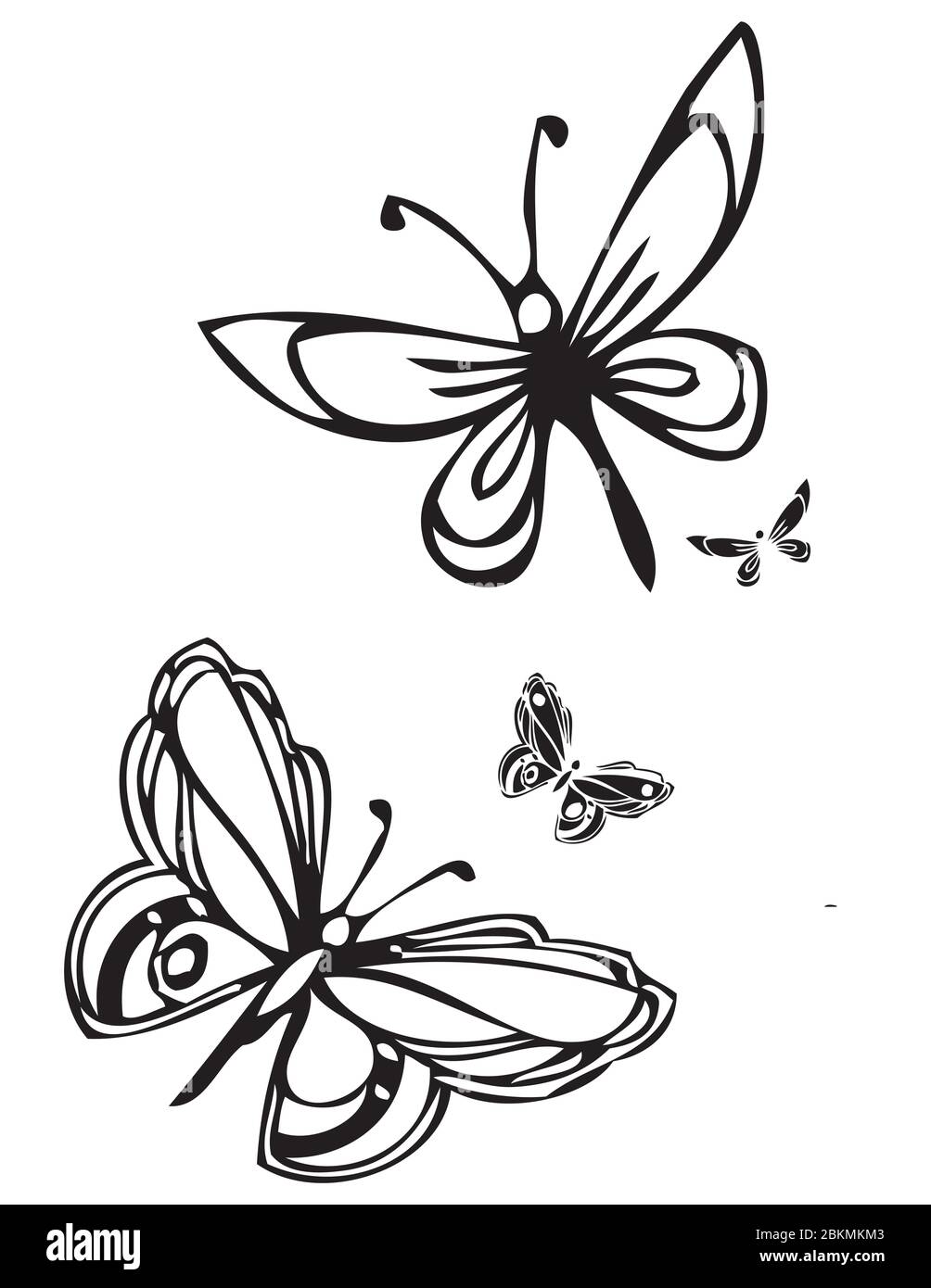 On a white background four butterflies of different shapes and sizes ...