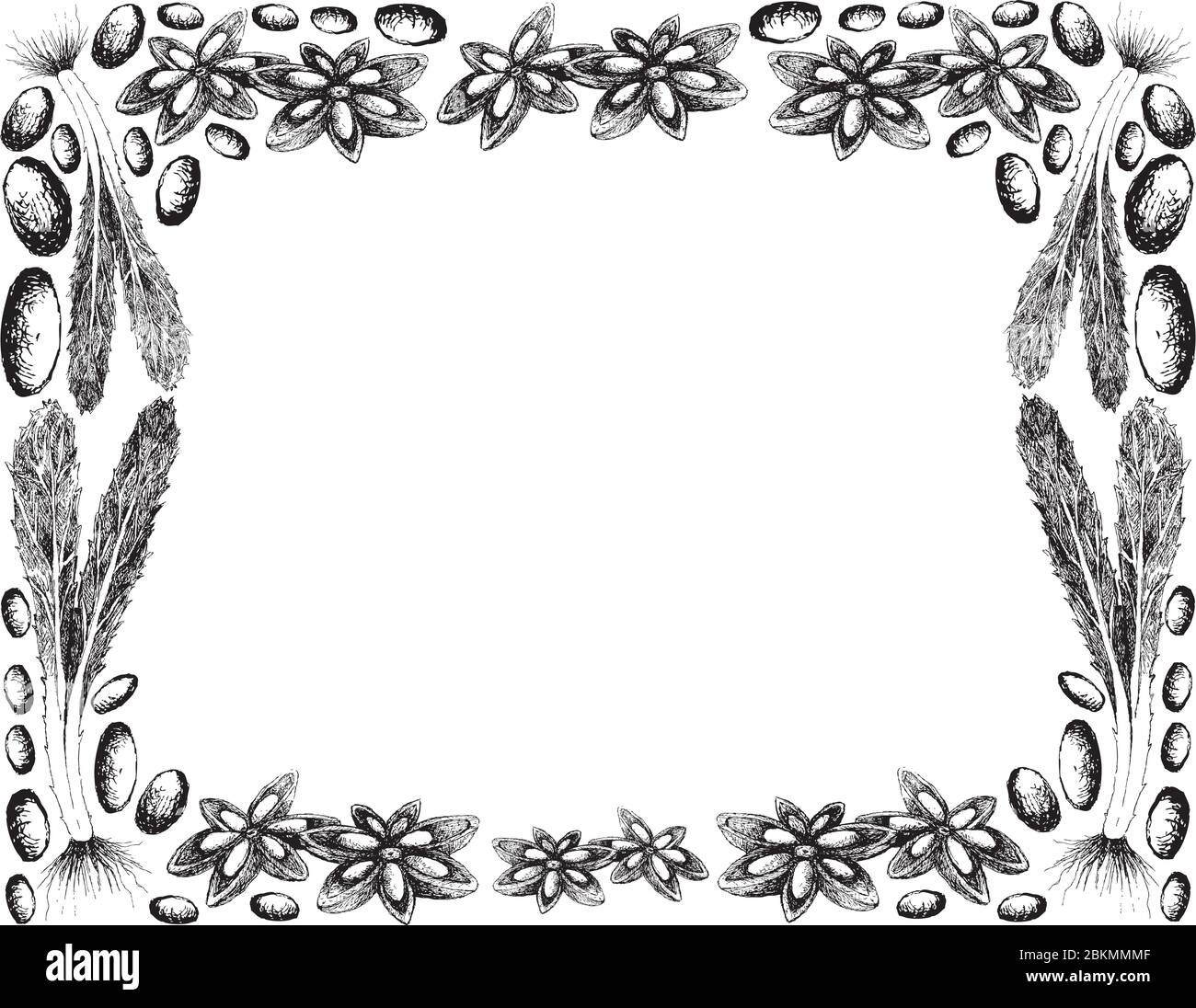 Herbal Plants, Hand Drawn Illustration of Eryngium Foetidum, Culantro ...