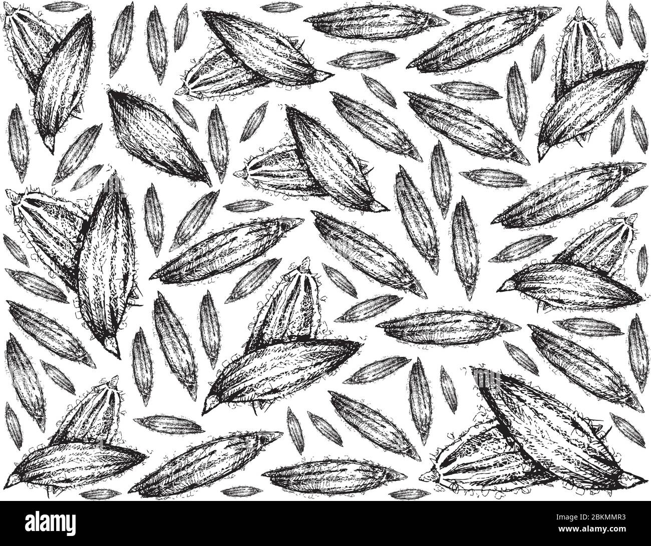 Herbal Plants, Hand Drawn Illustration Background of Dried Cumin or ...