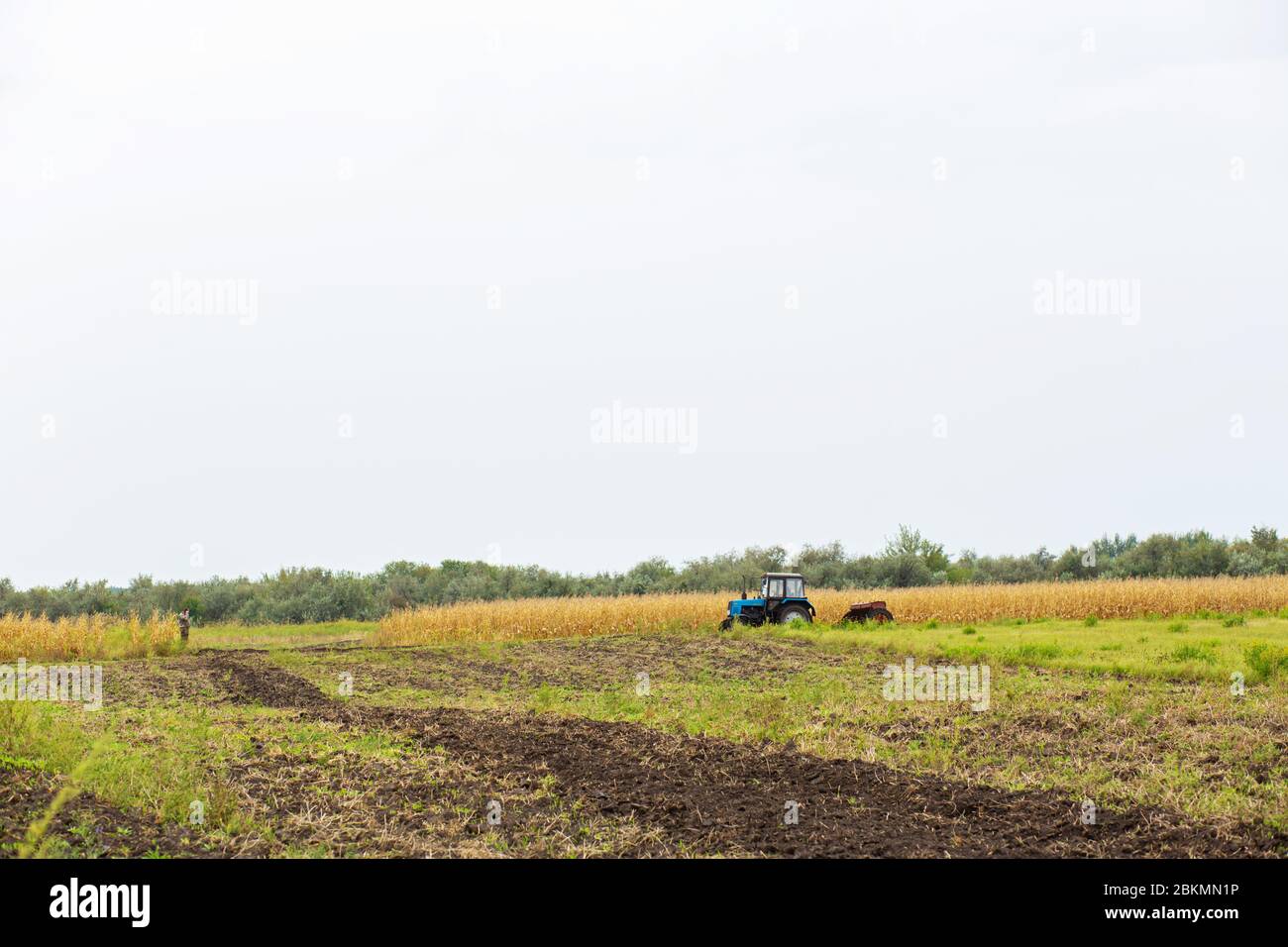A tractor plows a field with a plow. Rural landscape of an agricultural ...
