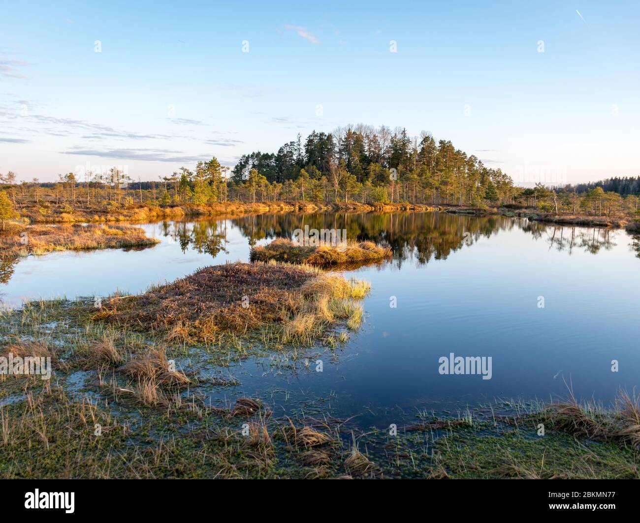 Colorful evening and sunset over the bog lake, crystal clear lake and ...