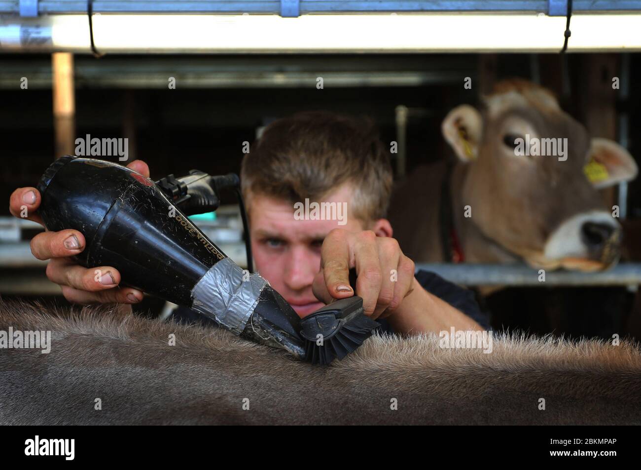 Karl granit hi-res stock photography and images - Alamy