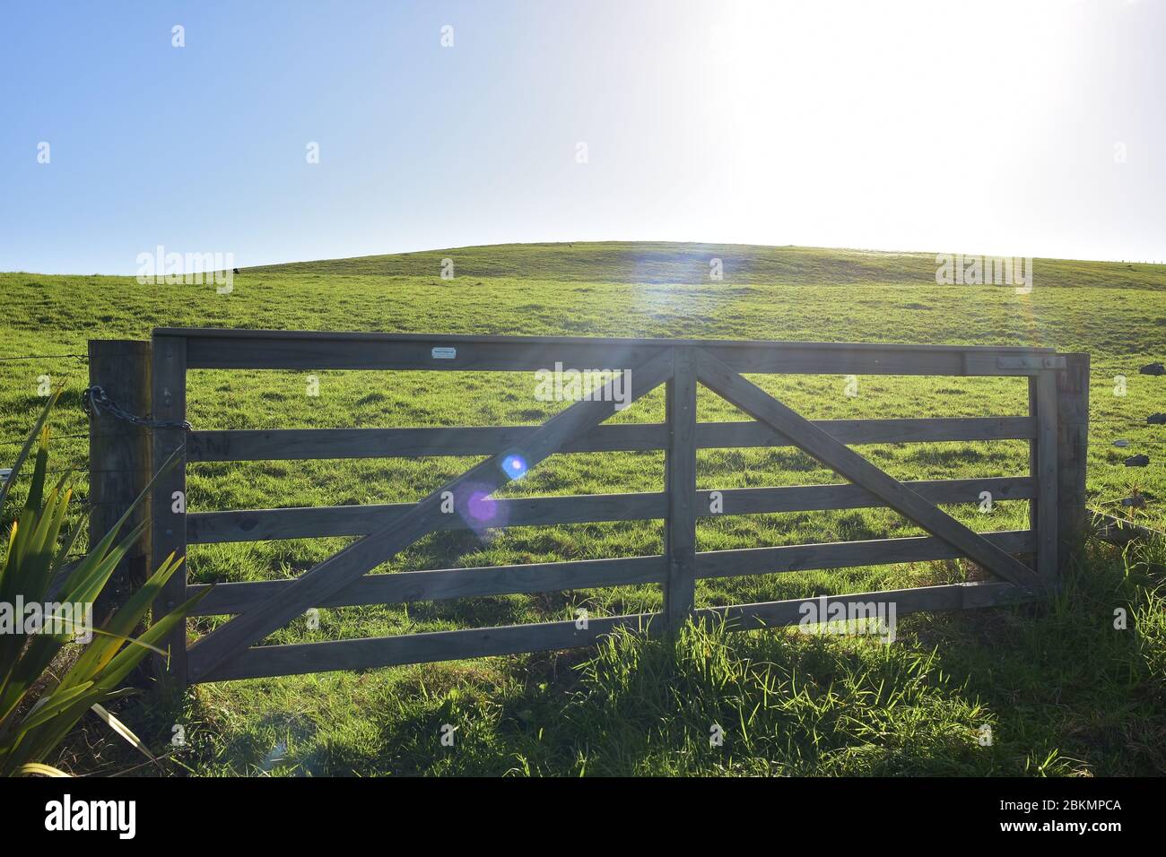 Heavy wooden livestock gate separating sections of farmland in back ...