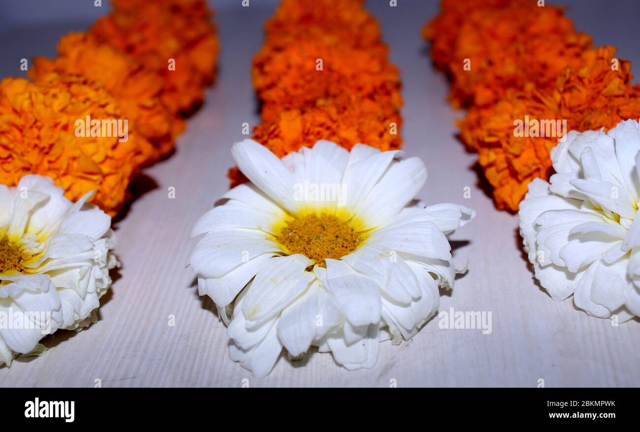 marigold and chrysanthemum flower hanging row design, rangoli, floral ...