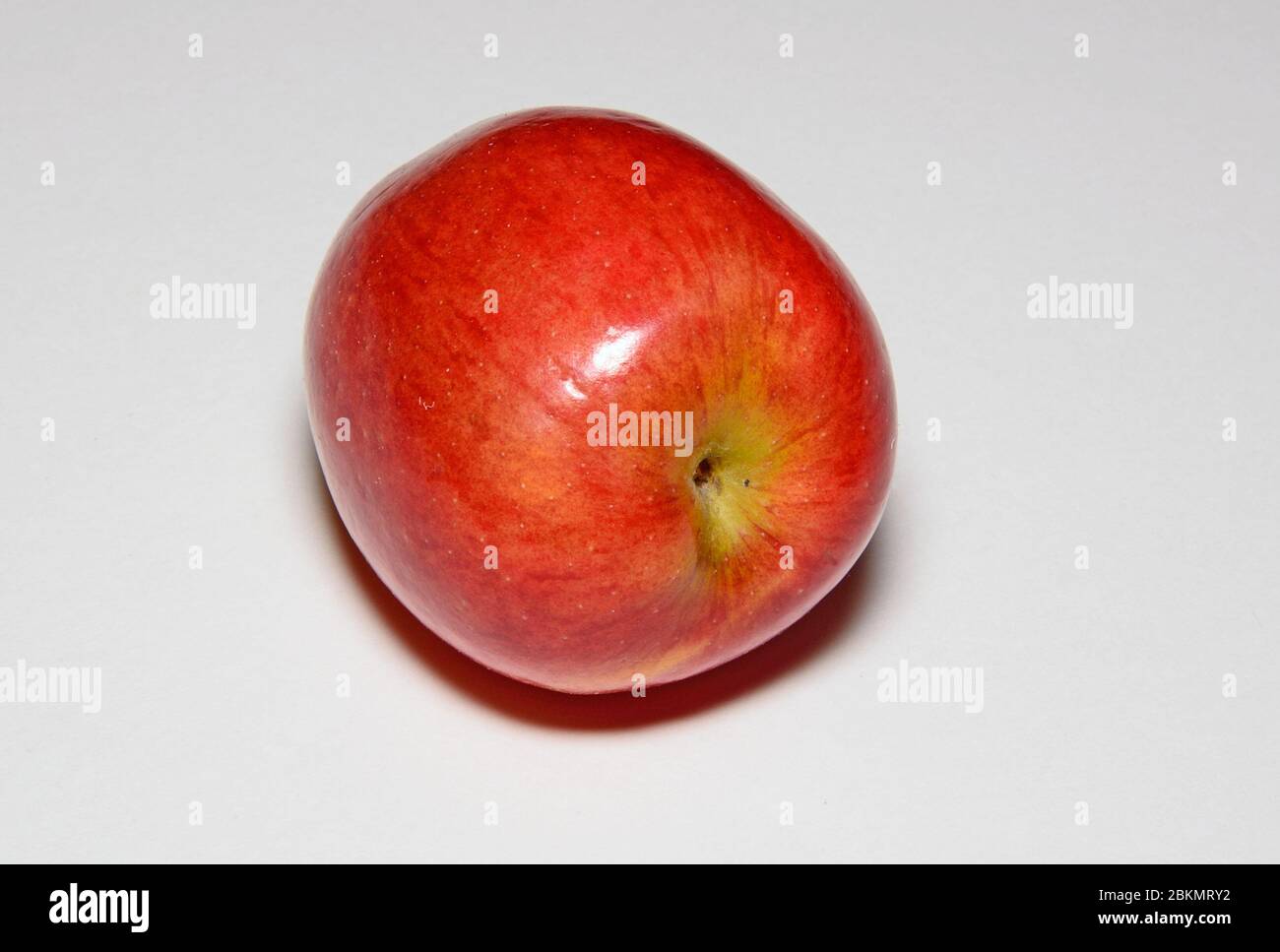 Single rosy red Jazz apple on a plain white background, UK Stock Photo ...